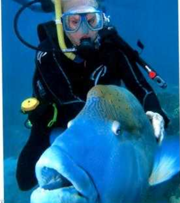 Reflections on the State of Medieval Studies: An Interview with Dr ...